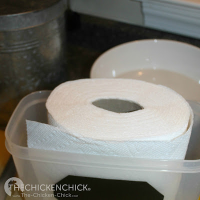 Homemade Hand Sanitizer & Wipes | The Chicken Chick®