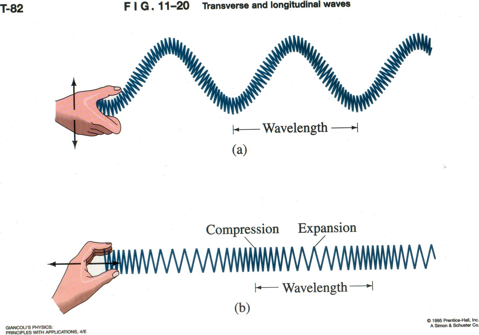 La FÍsica Interactiva Ondas