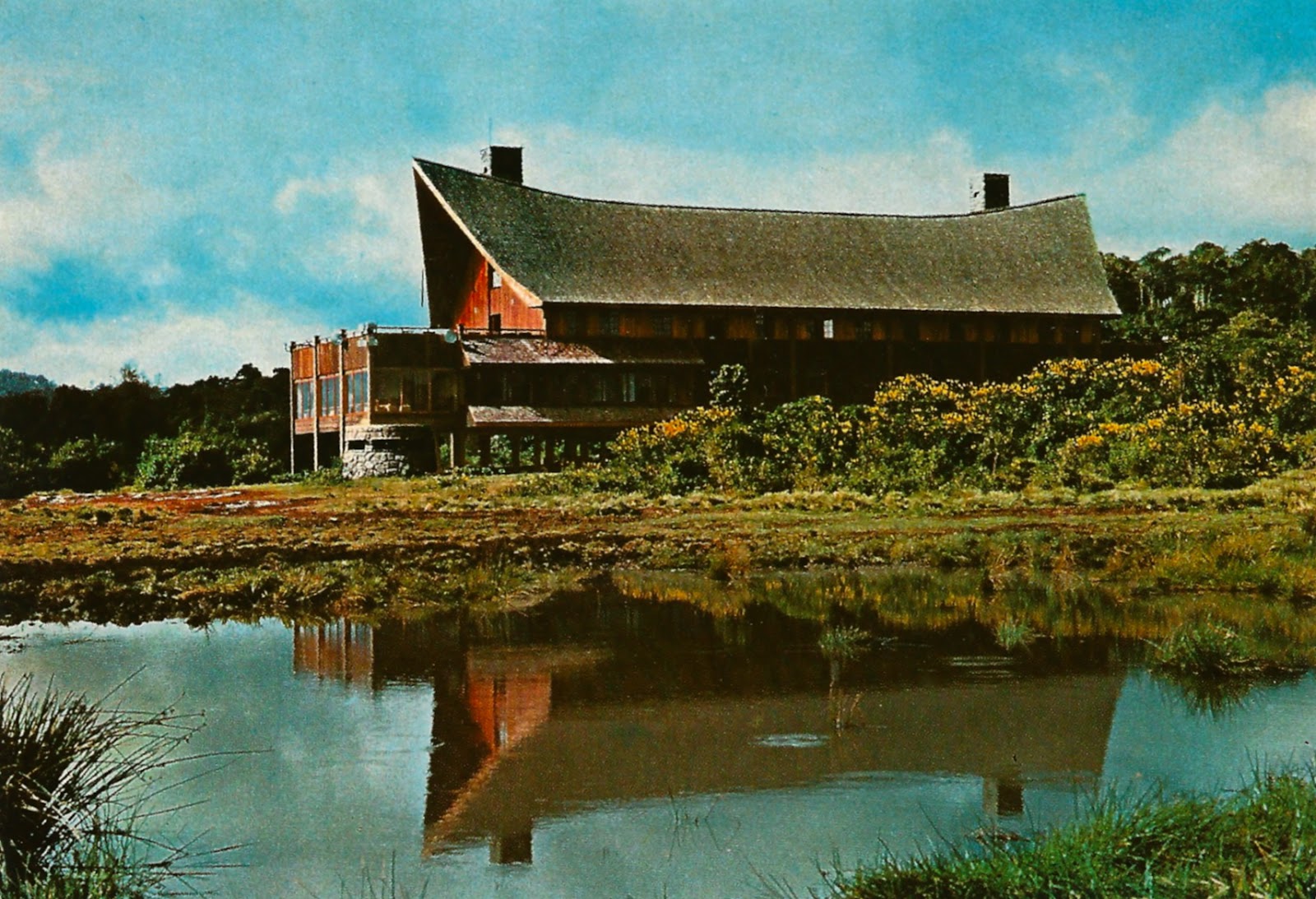 My Favorite Views: Kenya - The Ark Lodge, Aberdare National Park