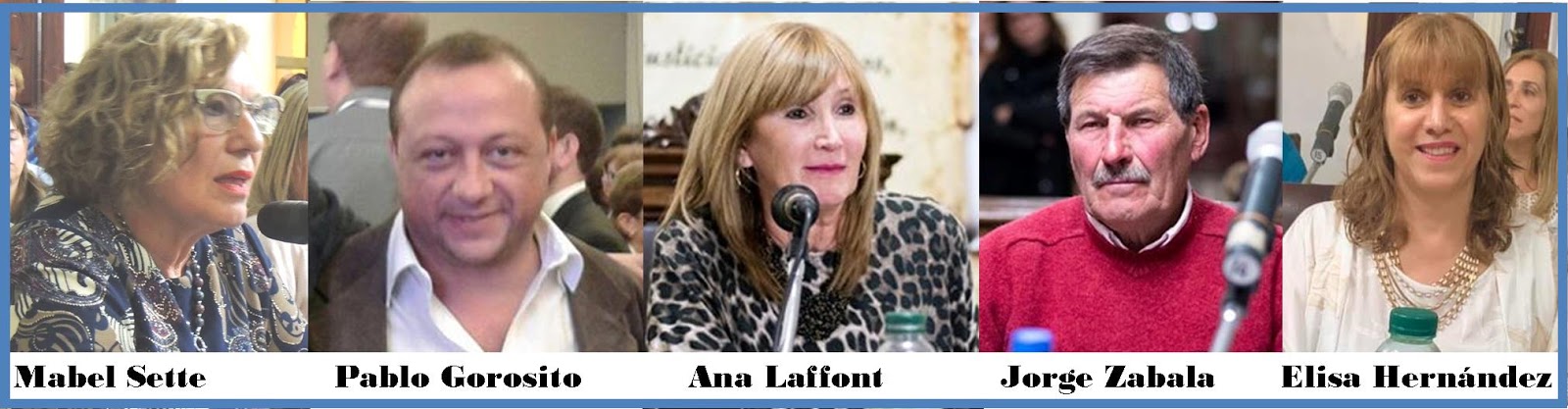 Casares On Line: Ana Laffont deja el HCD después de 8 años en la ...