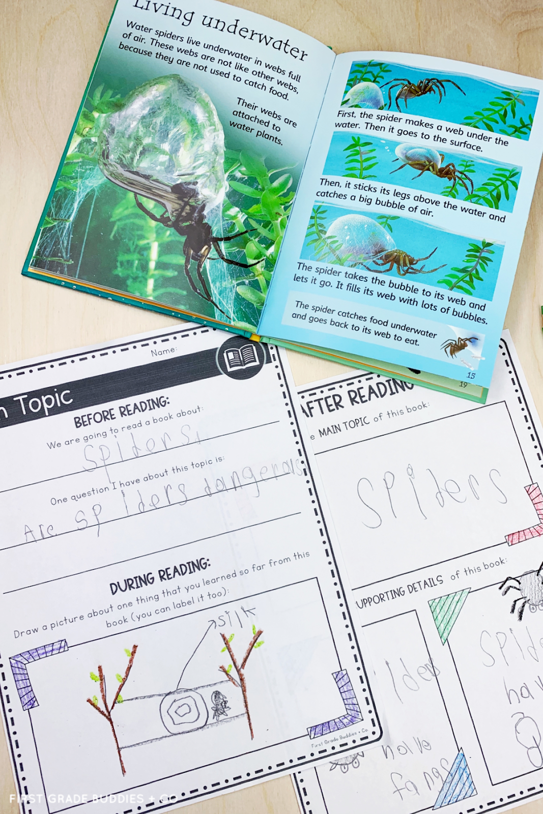 Reading Comprehension Response Sheets for ANY BOOK! | First Grade Buddies