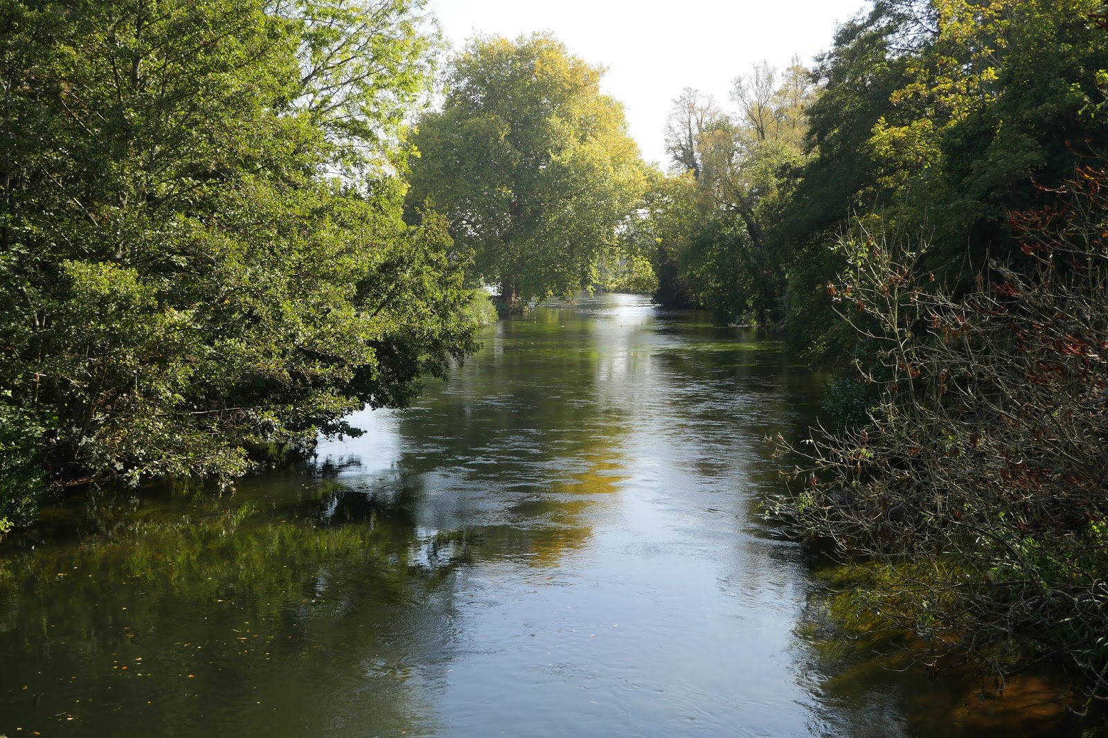 Walking in the country: Awbridge to Lee (Test Way 5)