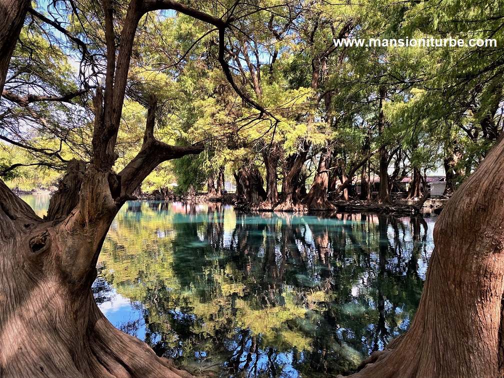 Lago de Camécuaro un Lugar Mágico en Michoacán