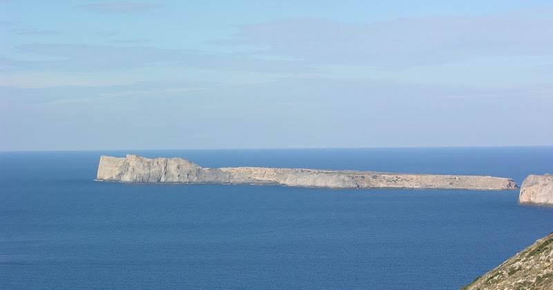Mpalosgr ΧΑΝΙΑ ΝΗΣΟΣ ΑΓΡΙΑ ΓΡΑΜΒΟΥΣΑ