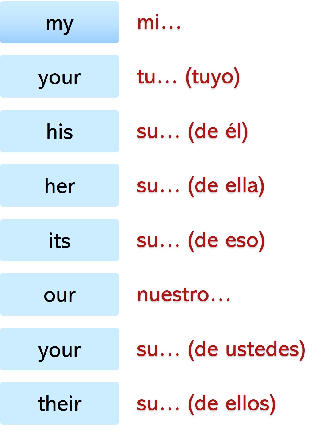 Posesivos determinantes y posesivo anglosajón