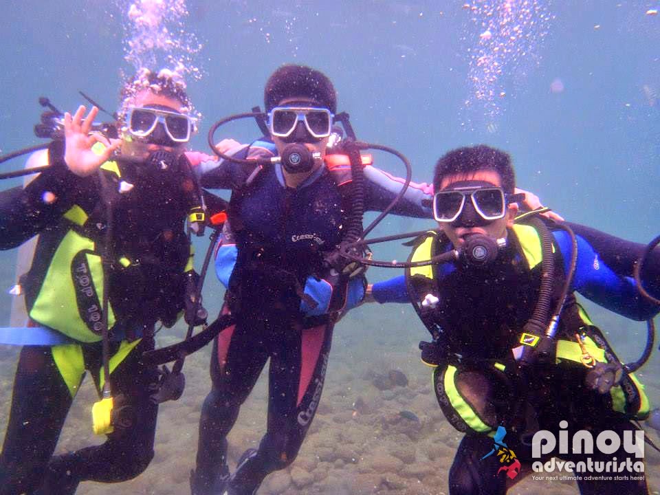 Best Diving Spots in the Philippines | Blogs, Travel Guides, Things to ...