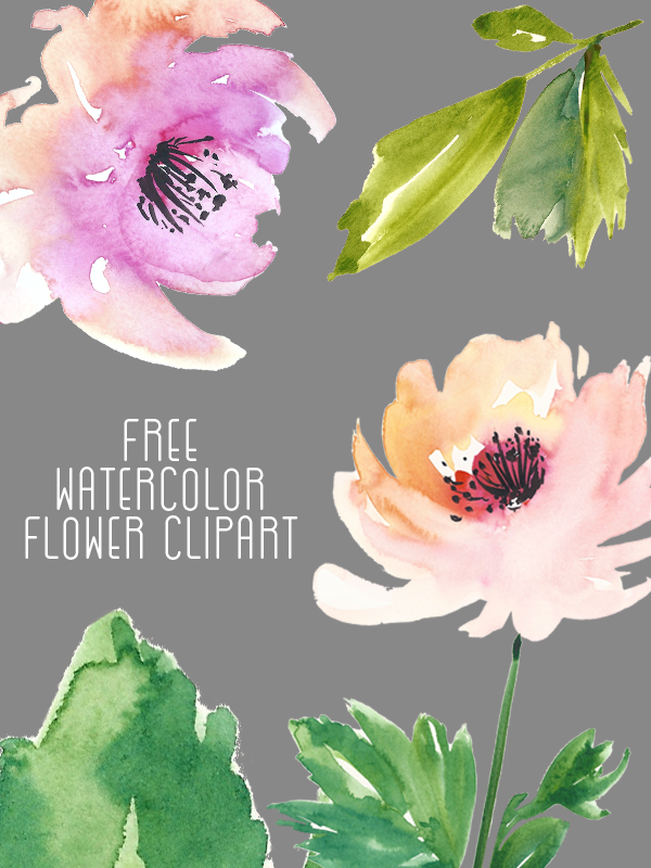 DLOLLEYS HELP: Ultimate Free Watercolor Floral Clip Art Round Up- UPDATE