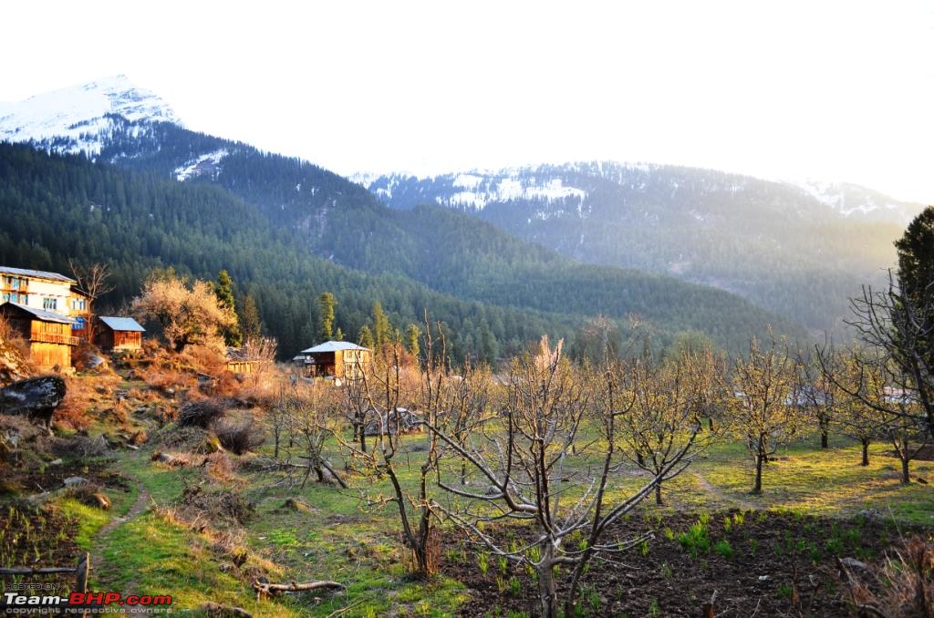 Himalayan Golden Triangle (Thanedhar, Sangla and Sojha) ~ We love Himachal