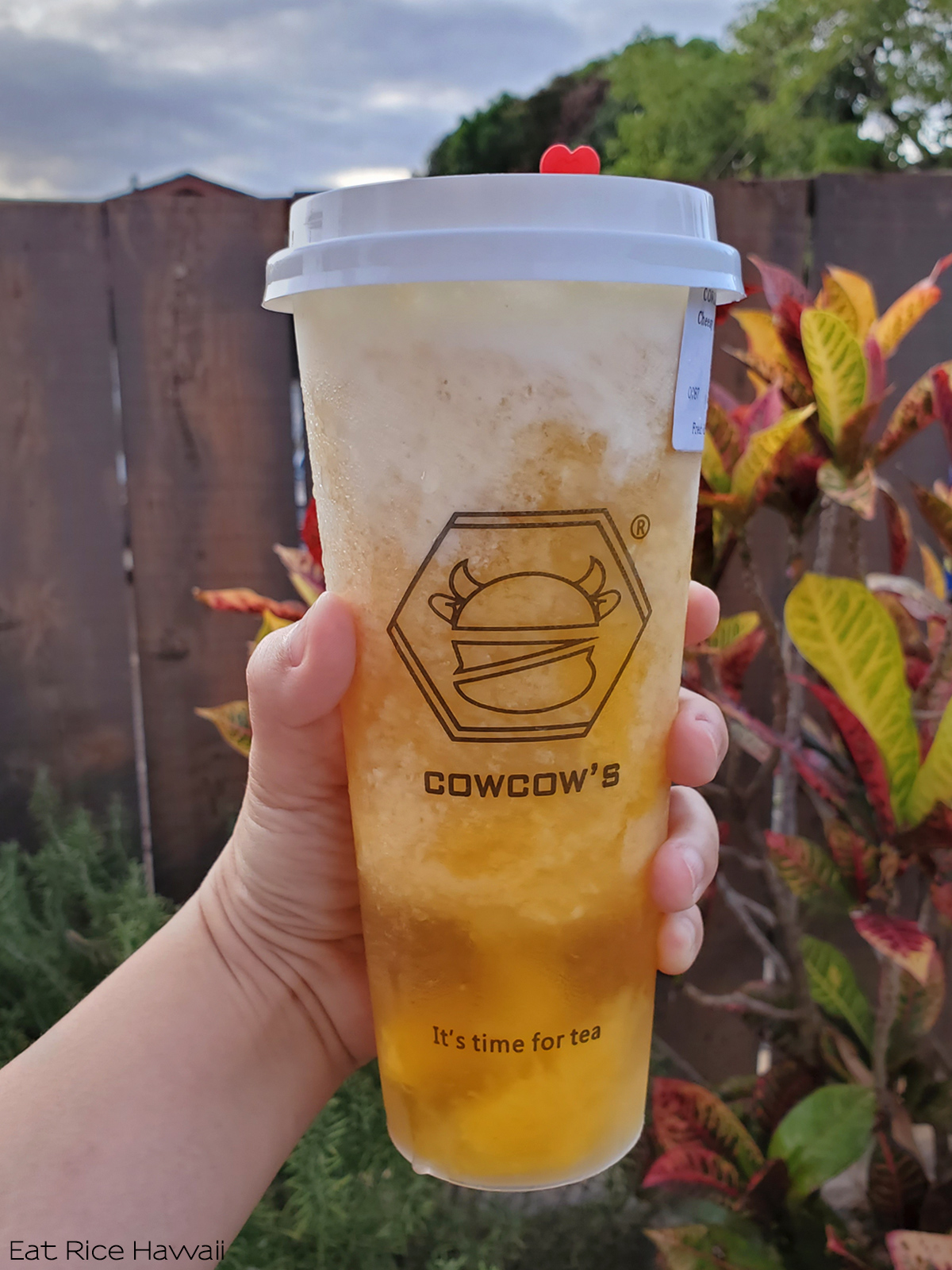Eat Rice: Cowcow's Tea