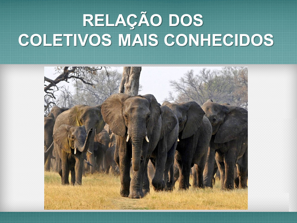 SÓ LINGUAGEM 2021: RELAÇÃO DOS COLETIVOS MAIS CONHECIDOS