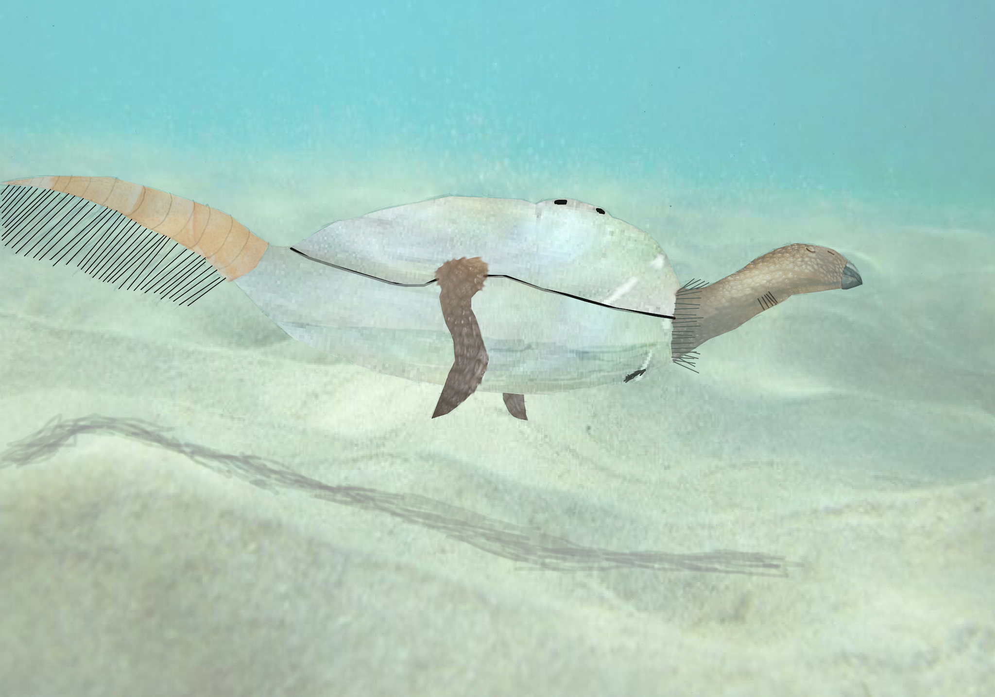 Manospondylus: Why Brachiopods are actually pretty cool