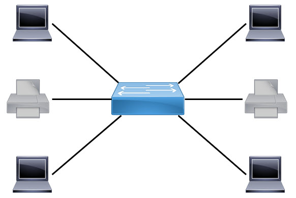NETSOC: Understanding between Access Port and Trunk Port