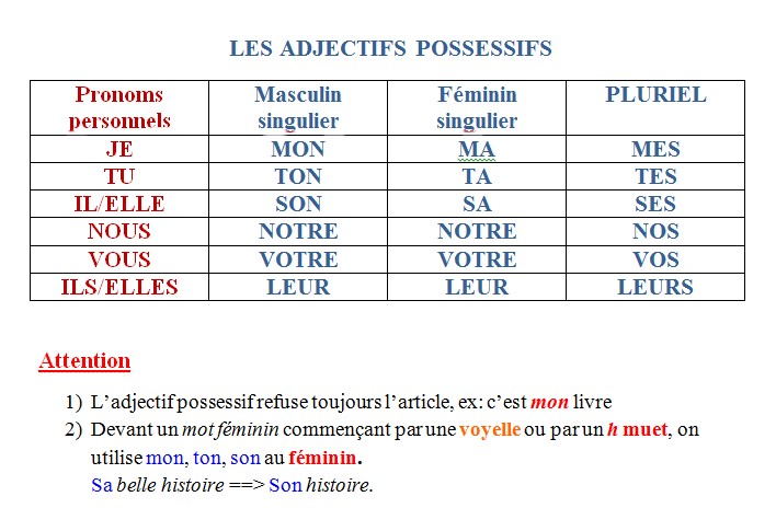 Révisons le français: Les adjectifs possessifs