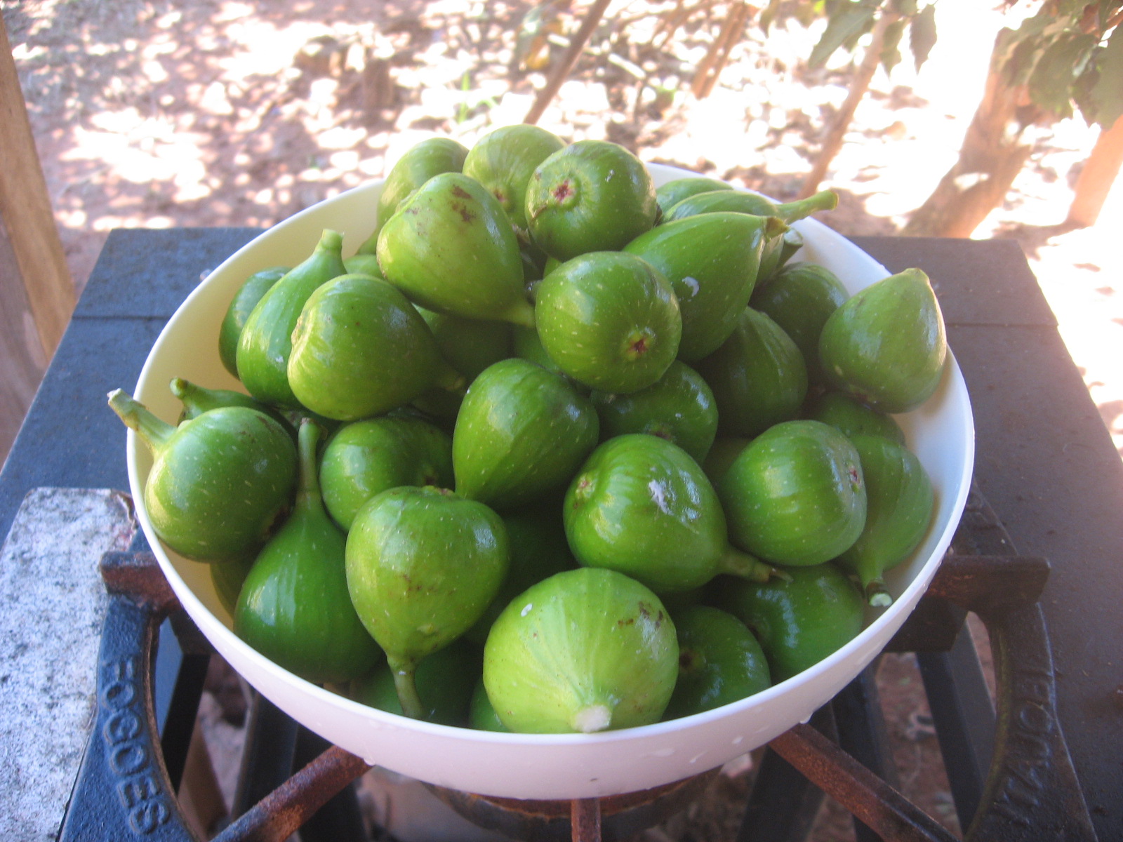 Back-to-the-Land in Brazil: Green Fig Compote