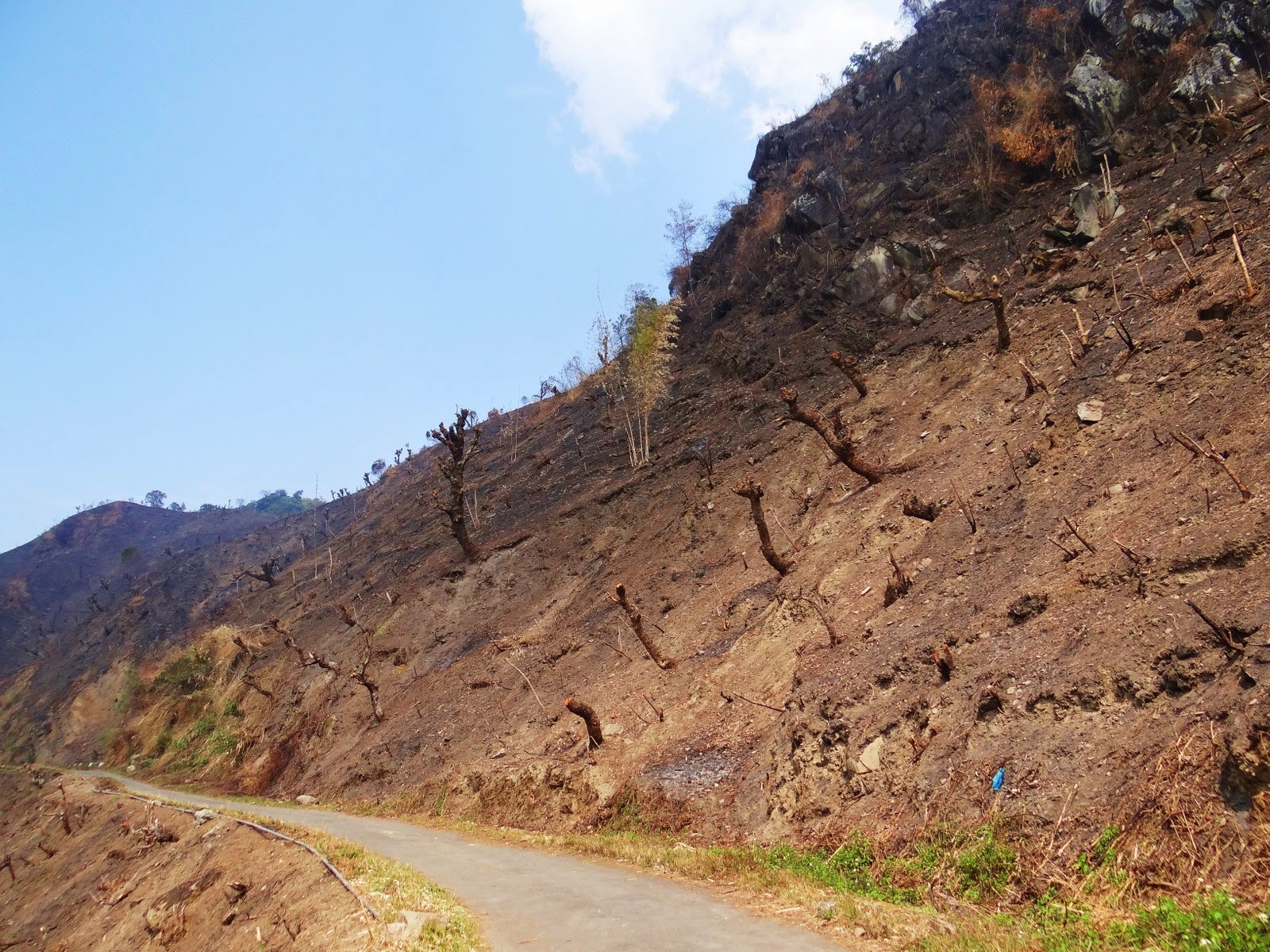 THE WANCHO: ENCHANTED GLIMPSE OF THE WANCHO INHABITED LONGDING DISTRICT ...