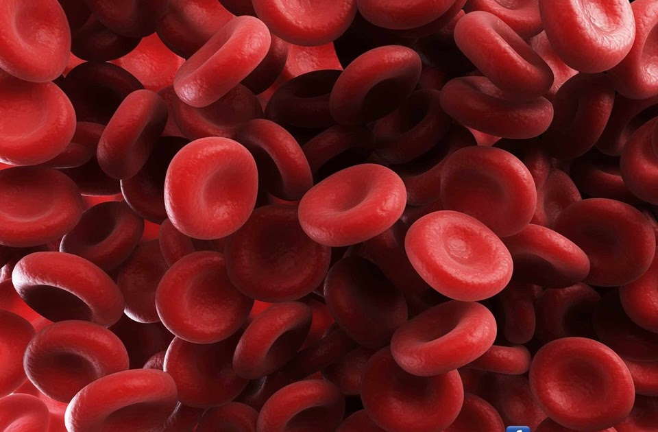 Primary polycythemia