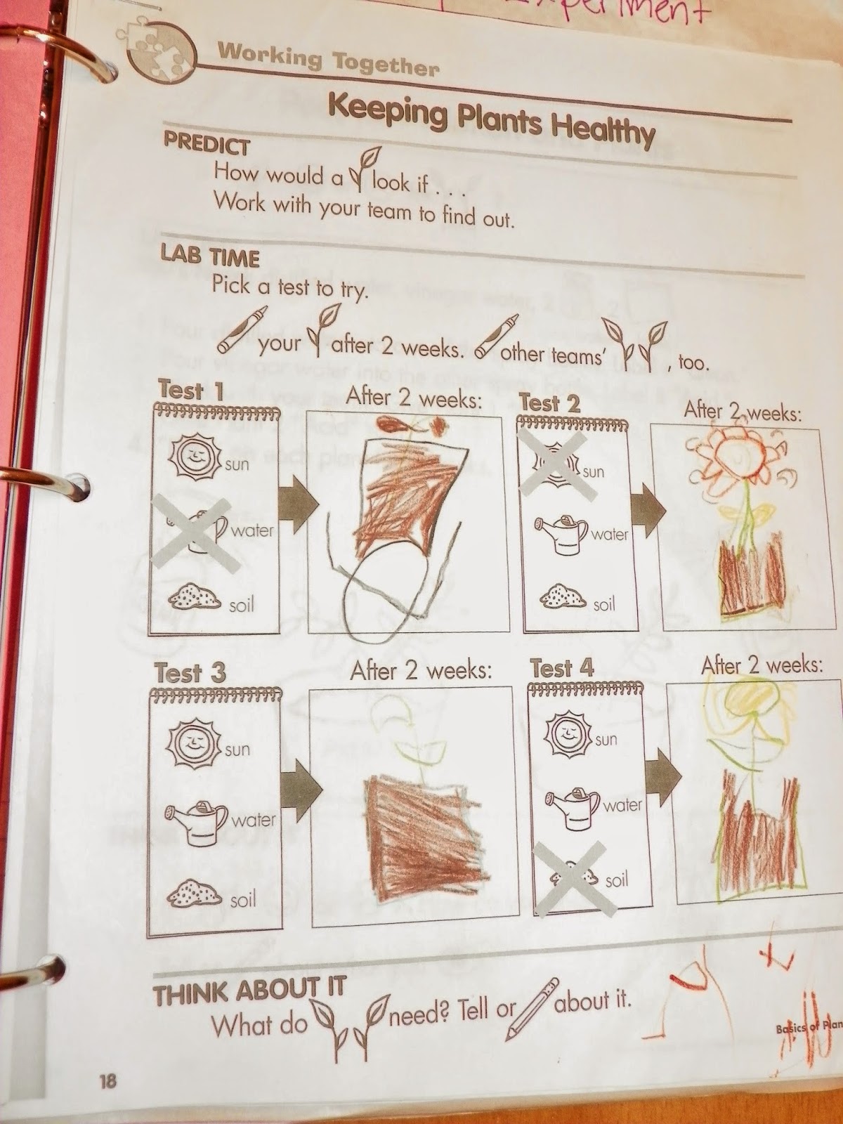 The Little Sewing Shop: Plants/Trees/Seeds lapbook and unit study