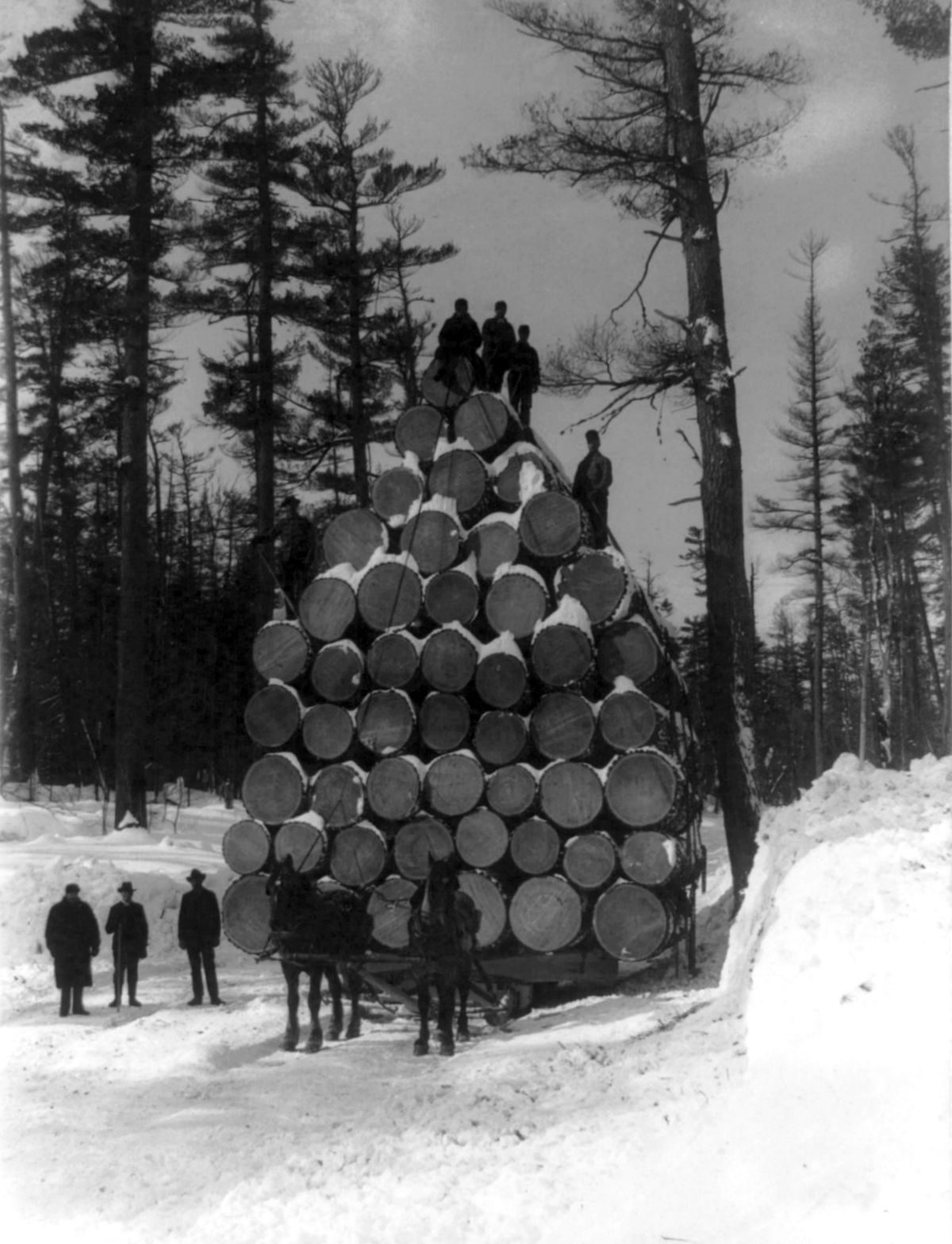 Michigan Loggers Pose Alongside Their World Record Haul, a Load of More ...