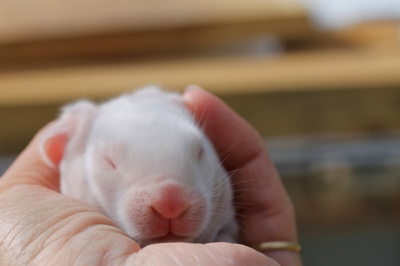 year at a glance 2013 | Gypsy Farmgirl