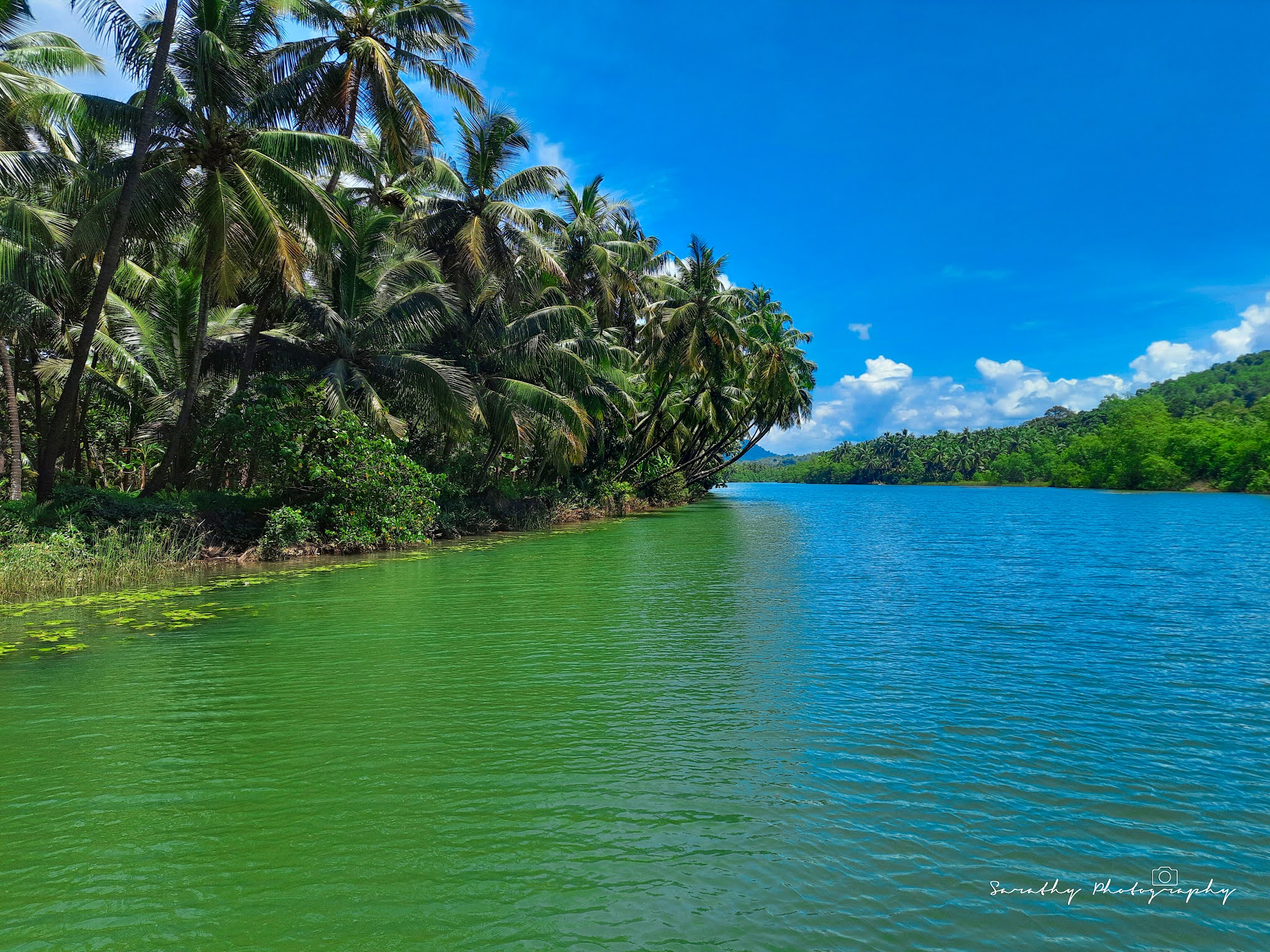 A colourful Boat ride in the Sharavathi Backwaters