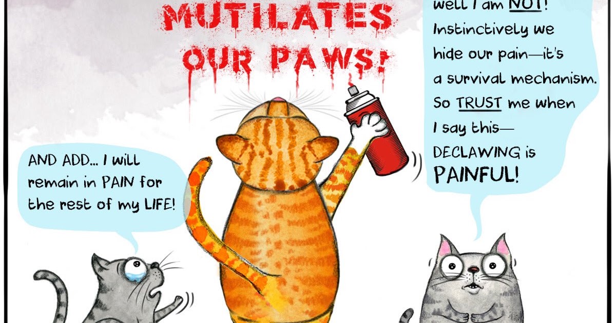 Brilliant anti-declaw poster should be published everywhere