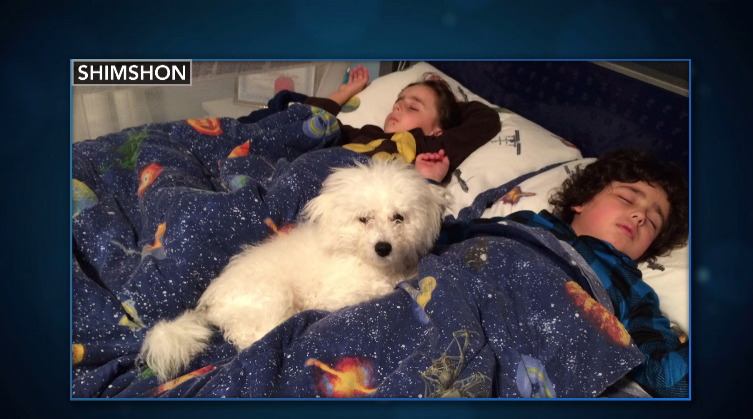 Love For His People: The Paradigm: The Mystery of the Heir - Jonathan ...