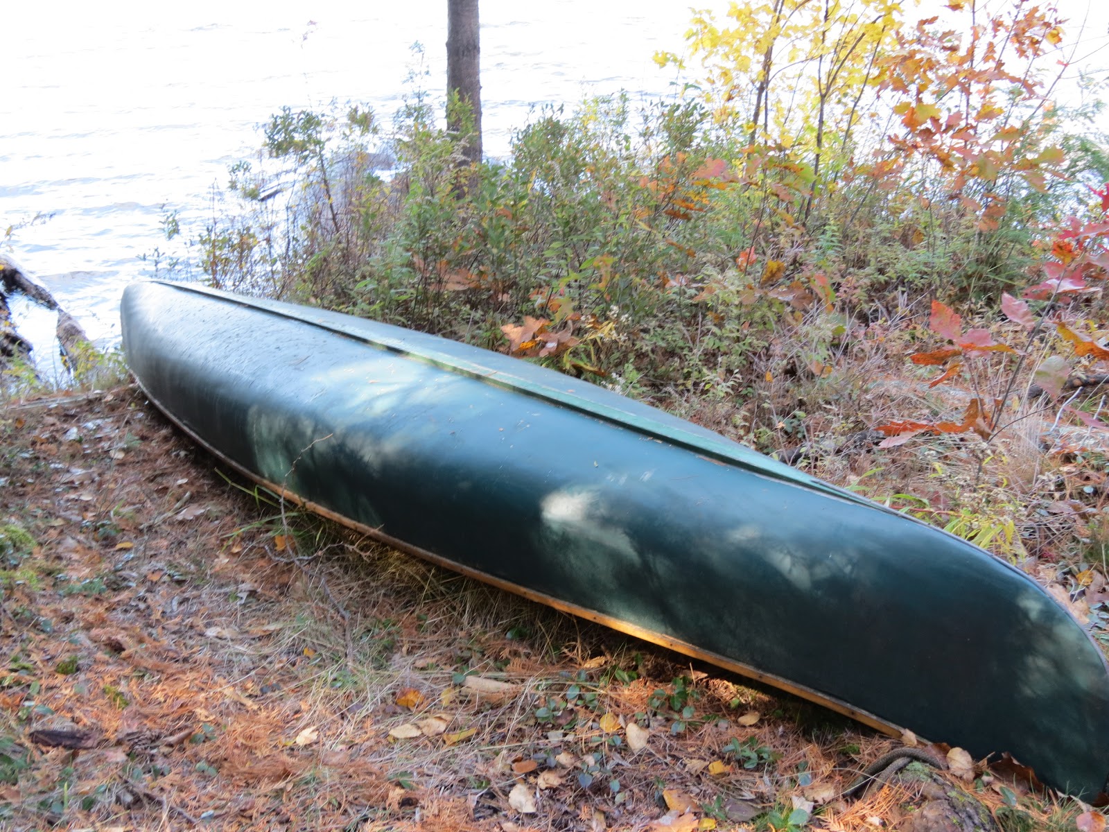 Ravenwood Blog: Chestnut sailing canoe