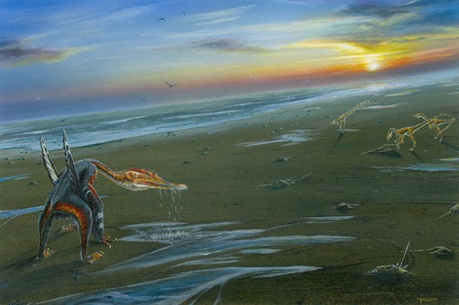 a mesozoic field guide: Pterosaurs of the Jurassic