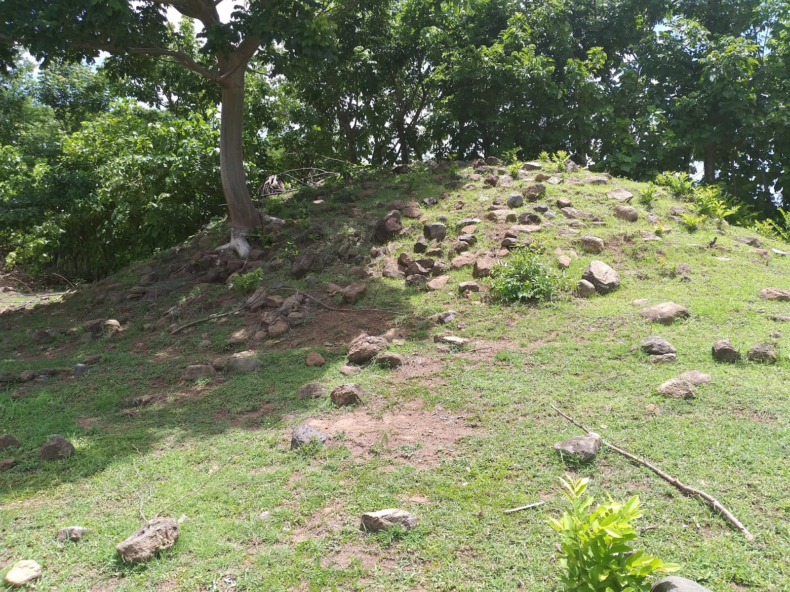 Grupo 1 - Herramientas 2019/03- Aprende Virtual: Quelepa (San Miguel ...