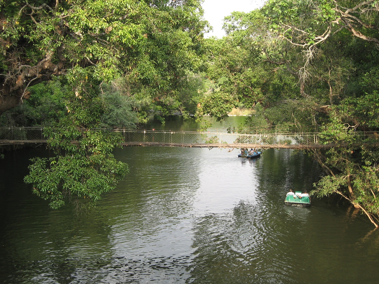 Coorg Nisargadhama Forest - Photographs