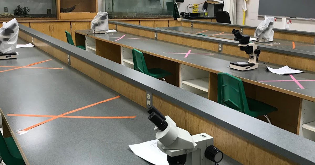 Fillyjonk's progress: A partial ray