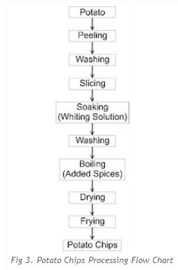 the Food Science: How to Make Home Made Potato Chips