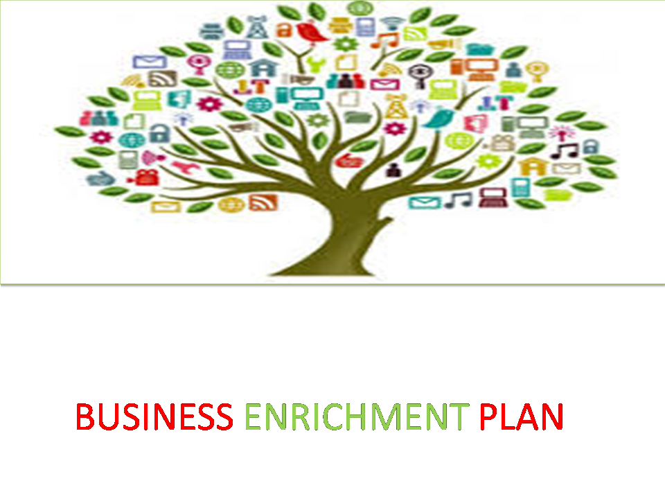 Business11: ENRICHMENT PLAN