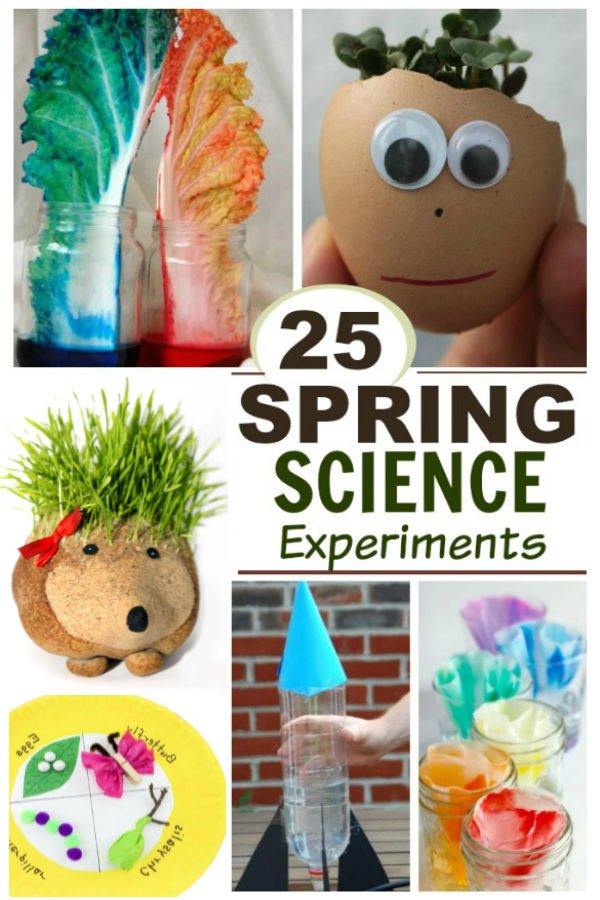 Spring Science For Kids Spring Science For Kids