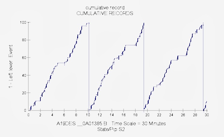 The Tails of Despereaux: Differences Between Despereaux and Sniffy