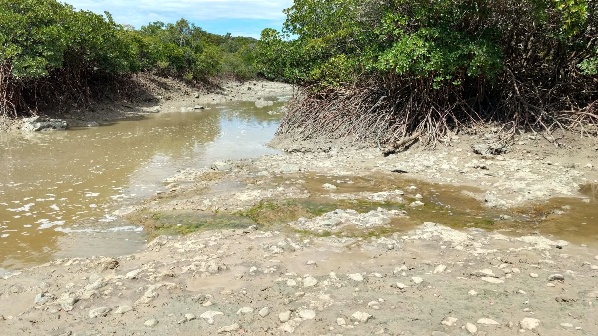 Queensland Coast: Postcard from Clairview, Central Queensland