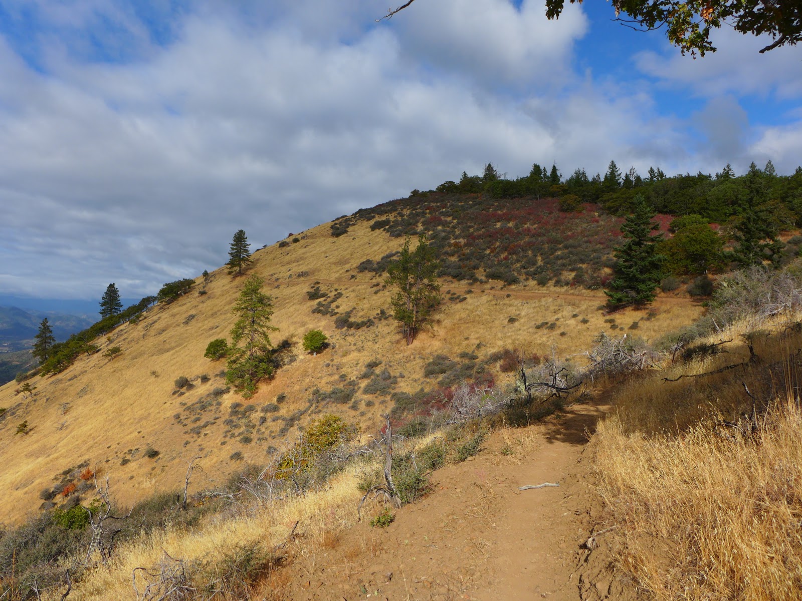 Glenn & Carol's Hiking Adventures: Applegate Ridge Trail - East