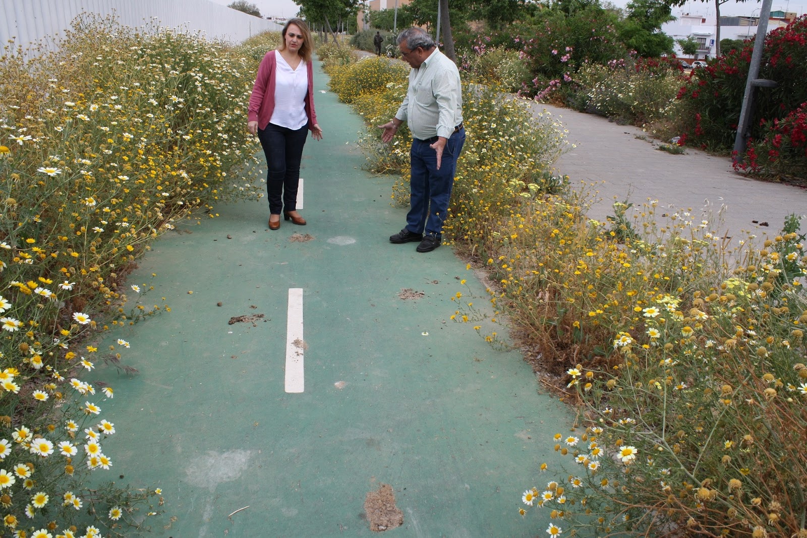 Gelán Noticias: Izquierda Unida ve en el Plan Integral de Palmete un ...