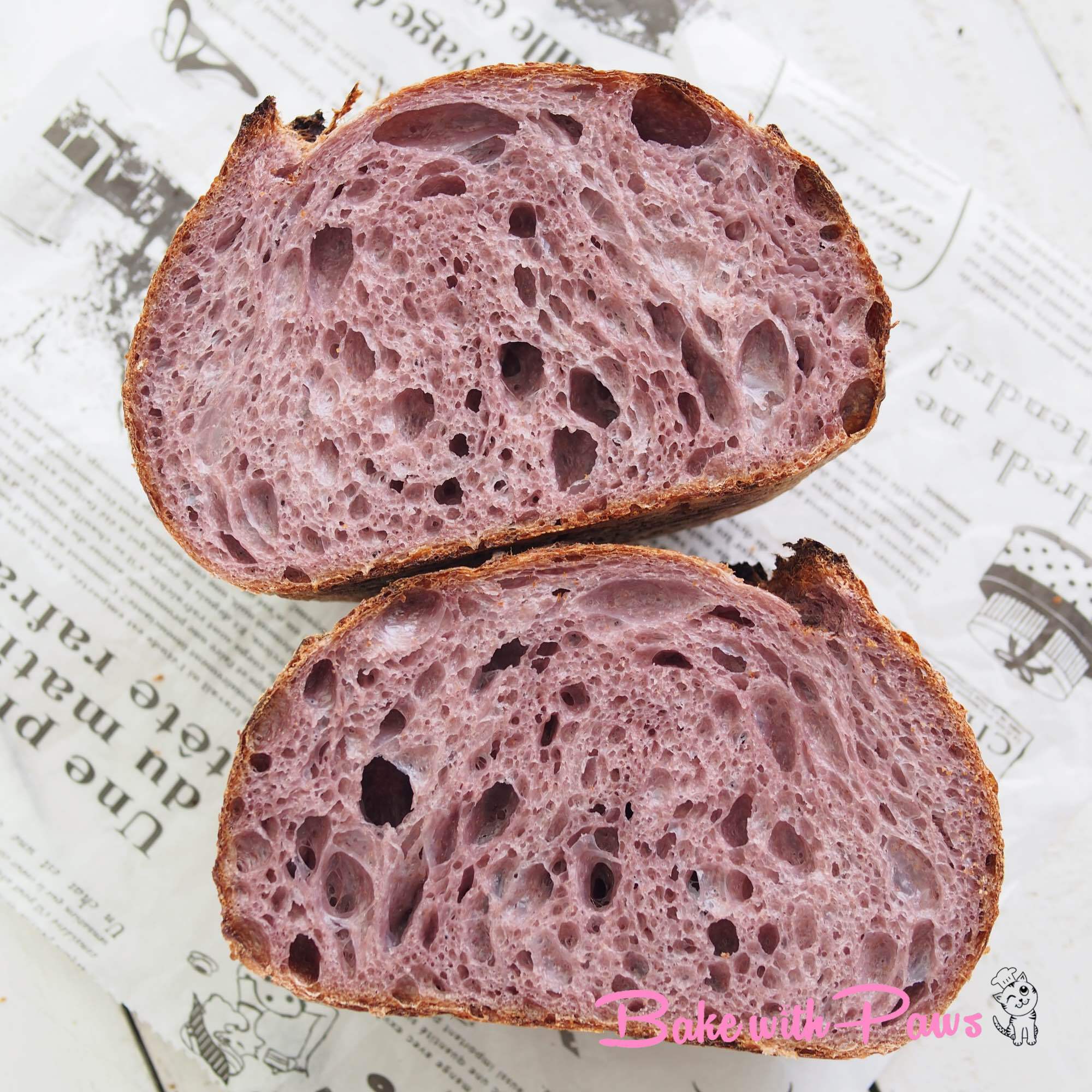 Purple Carrot Open Crumb Sourdough Bread - BAKE WITH PAWS