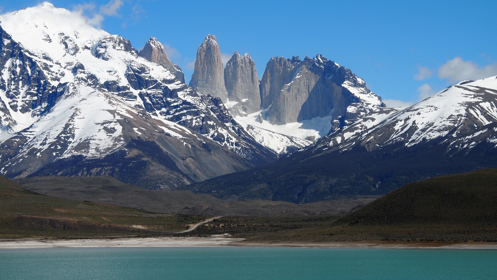 los animales mas salvajes del mundo: cordillera de los andes