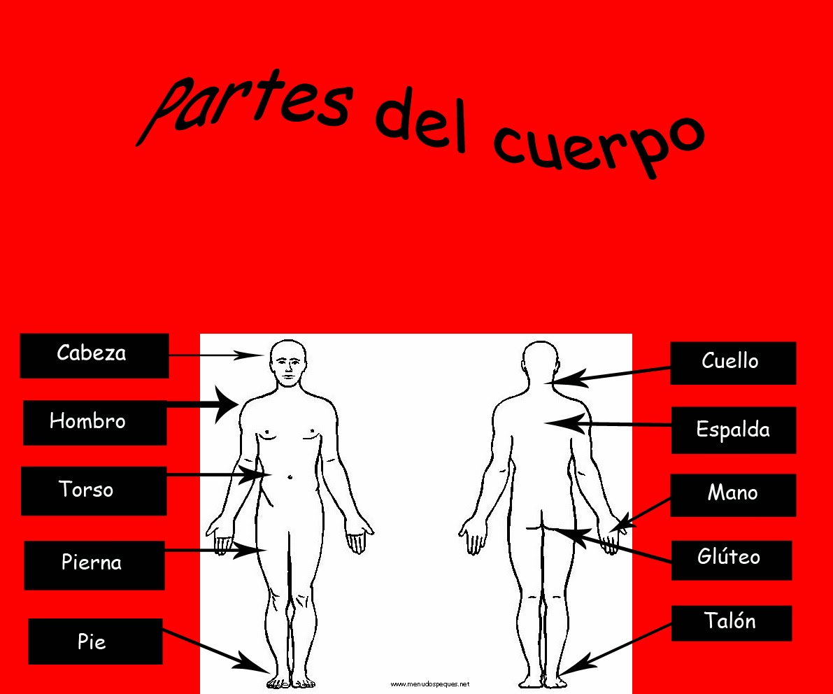 TIC 1 bac Javier Aznar: Ejercicio 6 Explicar una imagen
