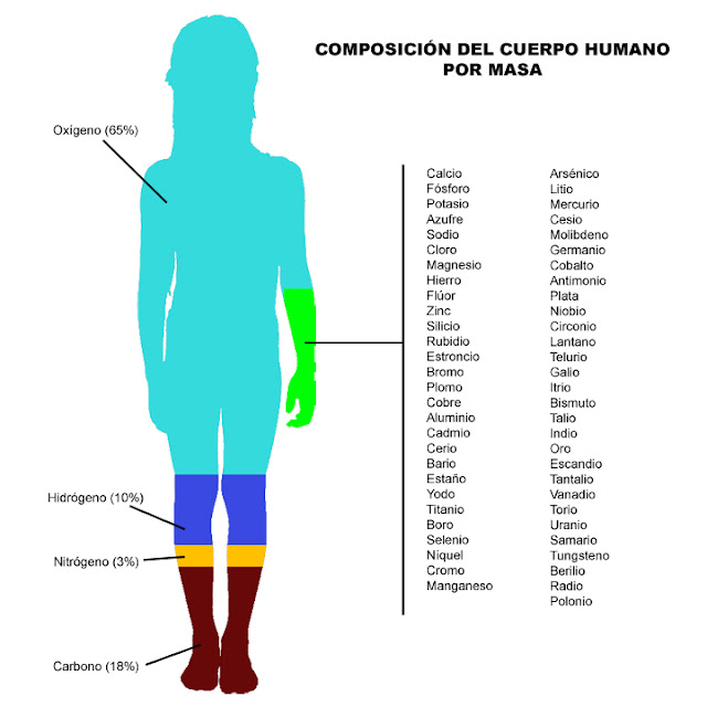 Los Elementos Quimicos del Cuerpo humano Los Elementos Quimicos del Cuerpo humano