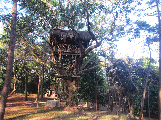 LEXICAL CROWN: EPIC PARC RAINFOREST CAMP (TANAY, RIZAL)