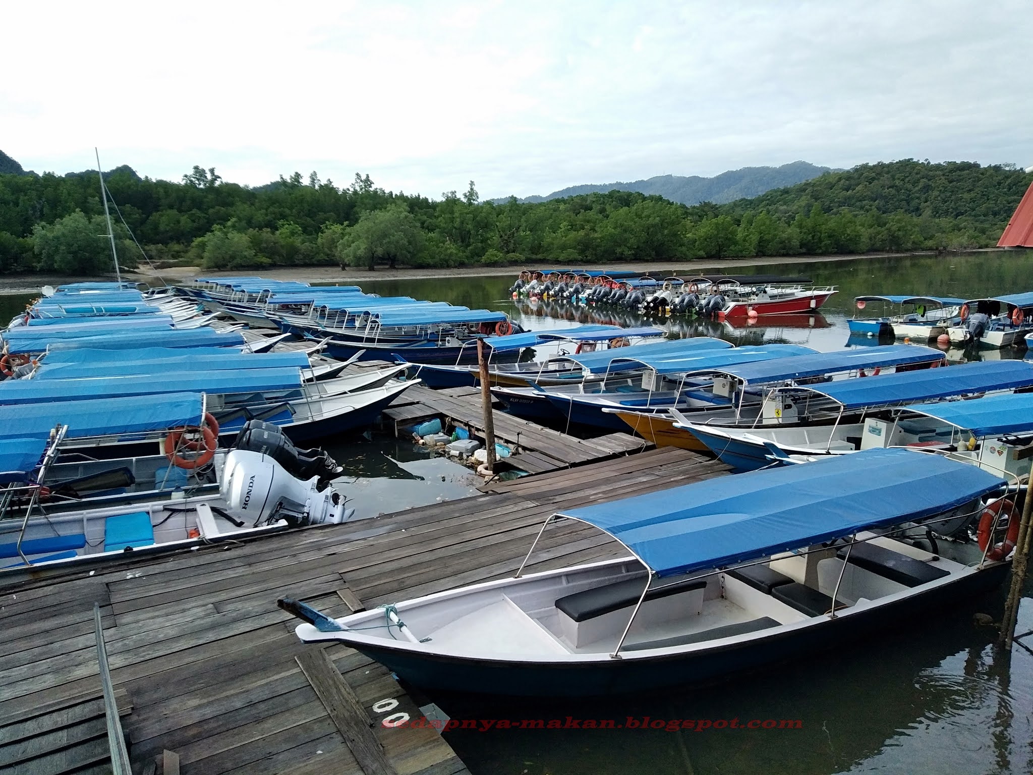MaKaN JiKa SeDaP: Mangrove Tour Tanjung Rhu Langkawi - mesti kena cuba ...