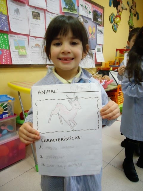 UNA VENTANA ABIERTA A NUESTRO MUNDO: Animales del Amazonas por 2º E