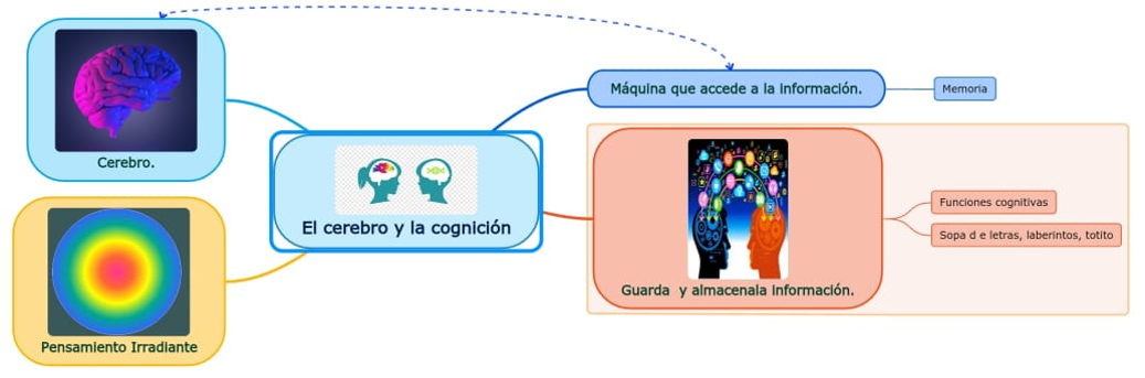 El cerebro y la cognición