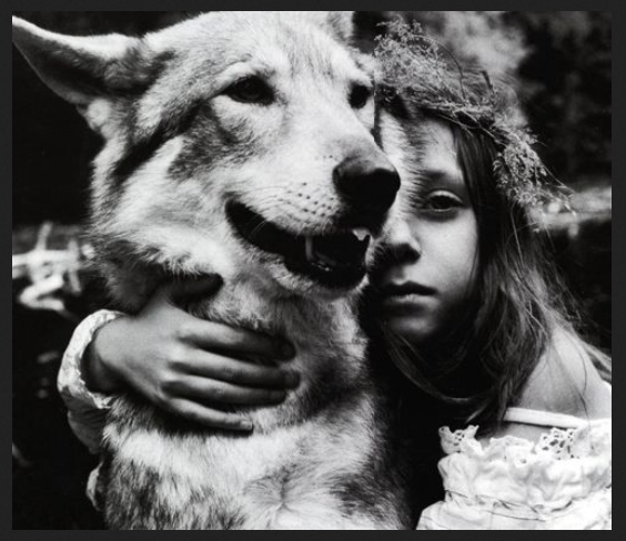 White Wolf : Heartwarming Photos Of Children Playing With Wolves