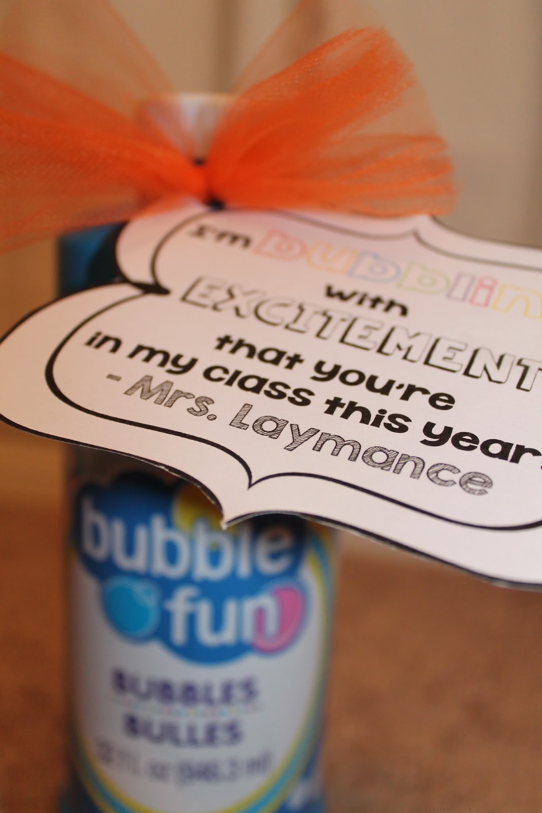 Adventures of First Grade: Meet the Teacher Ideas