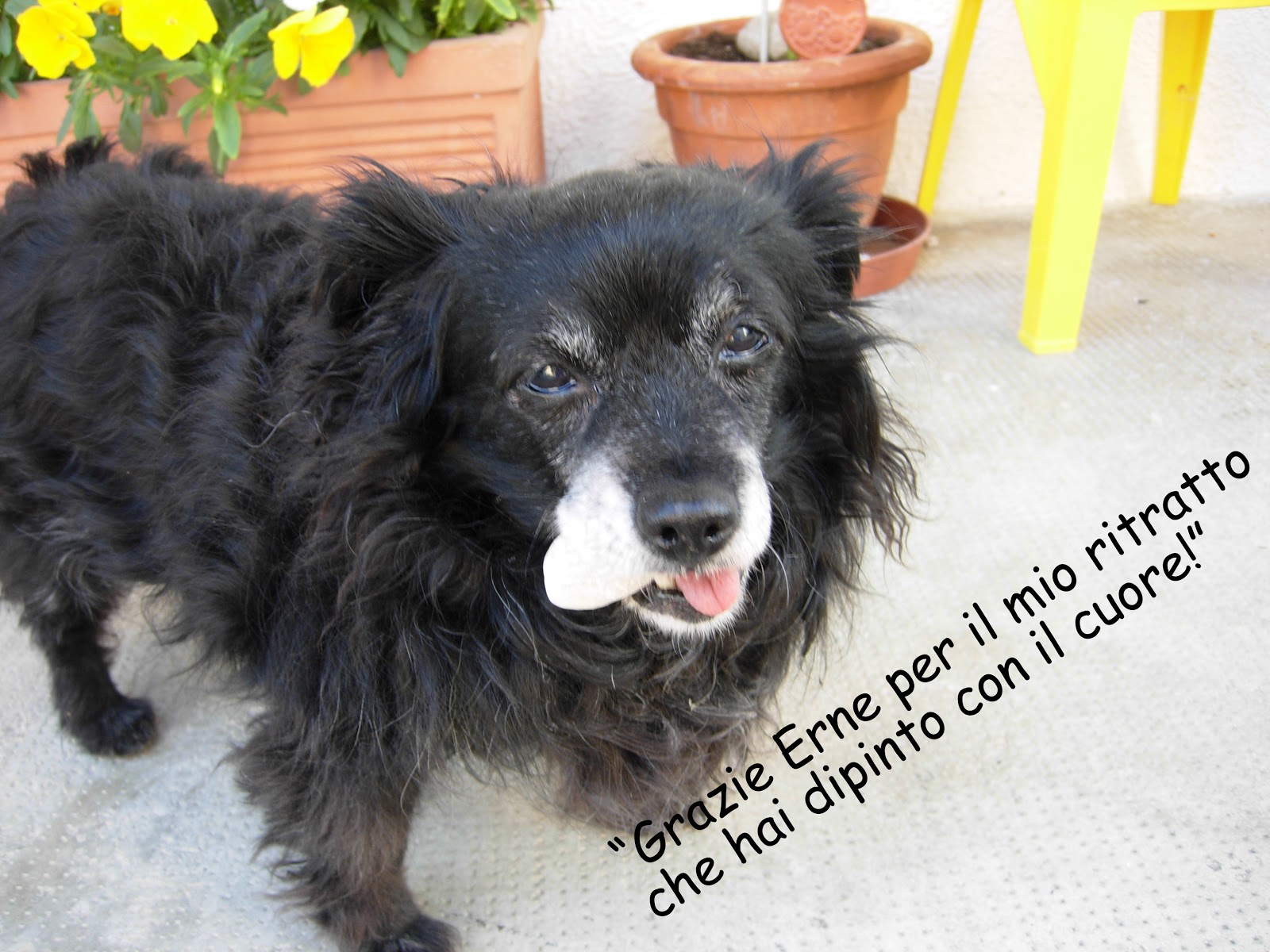 L' albero dei sassi: Ritratto di Heidi