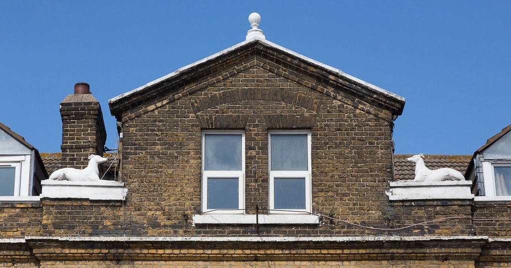 Shadows & Light: The Greyhounds